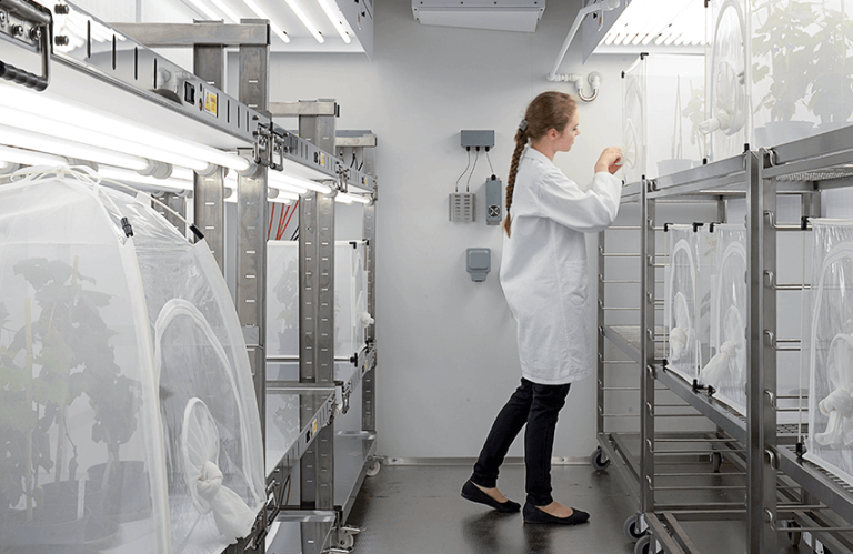 Walk-In Climate Rooms for Plants and Insects – Fitotron SGR - Weiss Technik